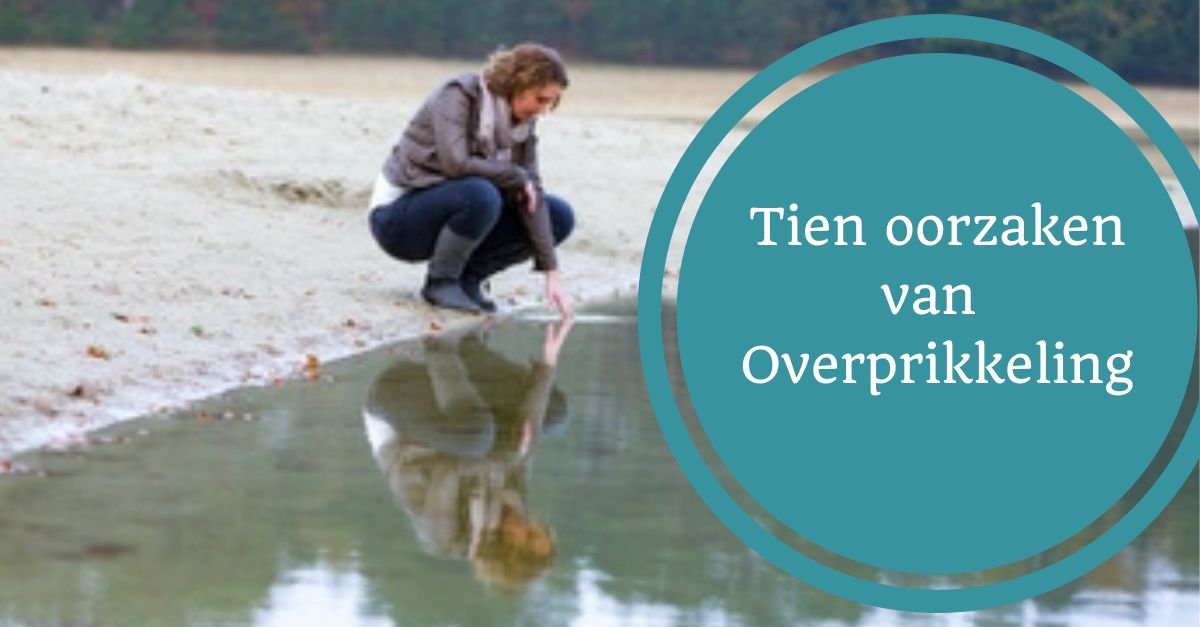 10 oorzaken van overprikkeling - VIVAS Coaching